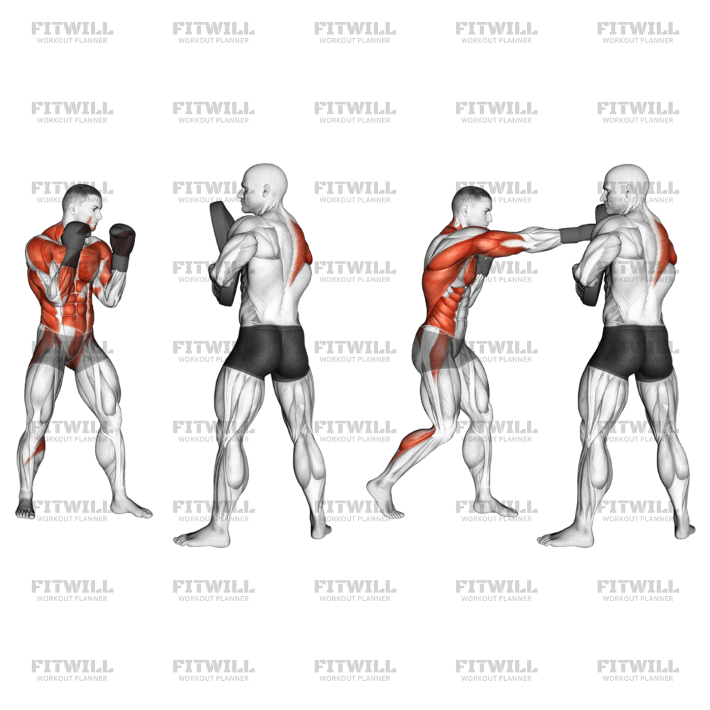 Boxing Right Cross (with Partner): Exercise Guide, Techniques, Benefits ...