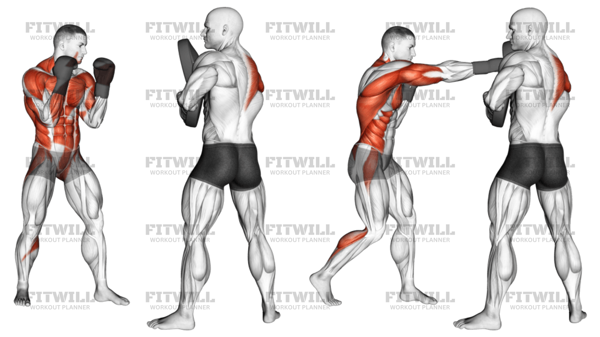 Boxing Right Cross (with Partner): Exercise Guide, Techniques, Benefits ...