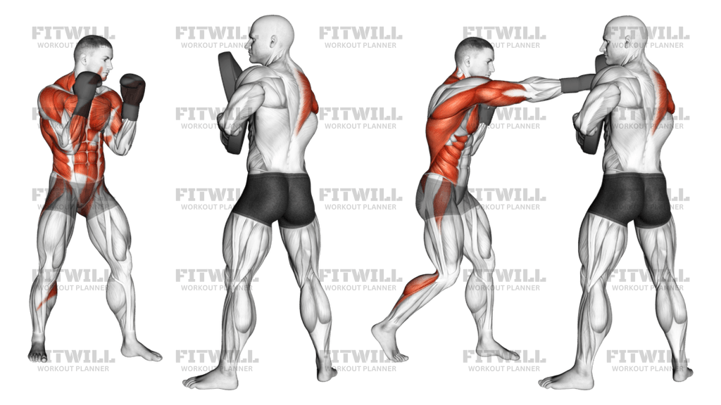 Boxing Right Cross (with Partner): Exercise Guide, Techniques, Benefits ...