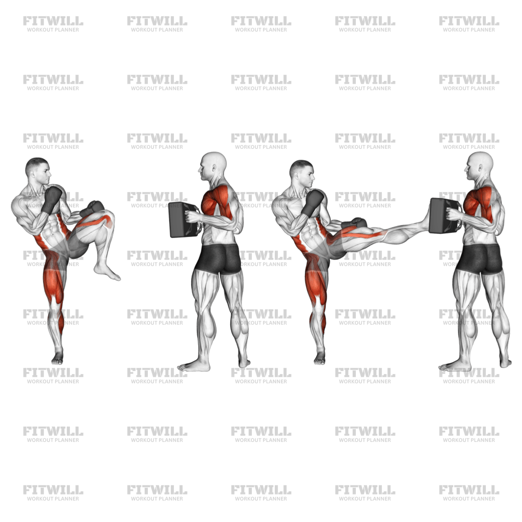 Front Kick Kickboxing (with Partner): Exercise Guide, Techniques ...