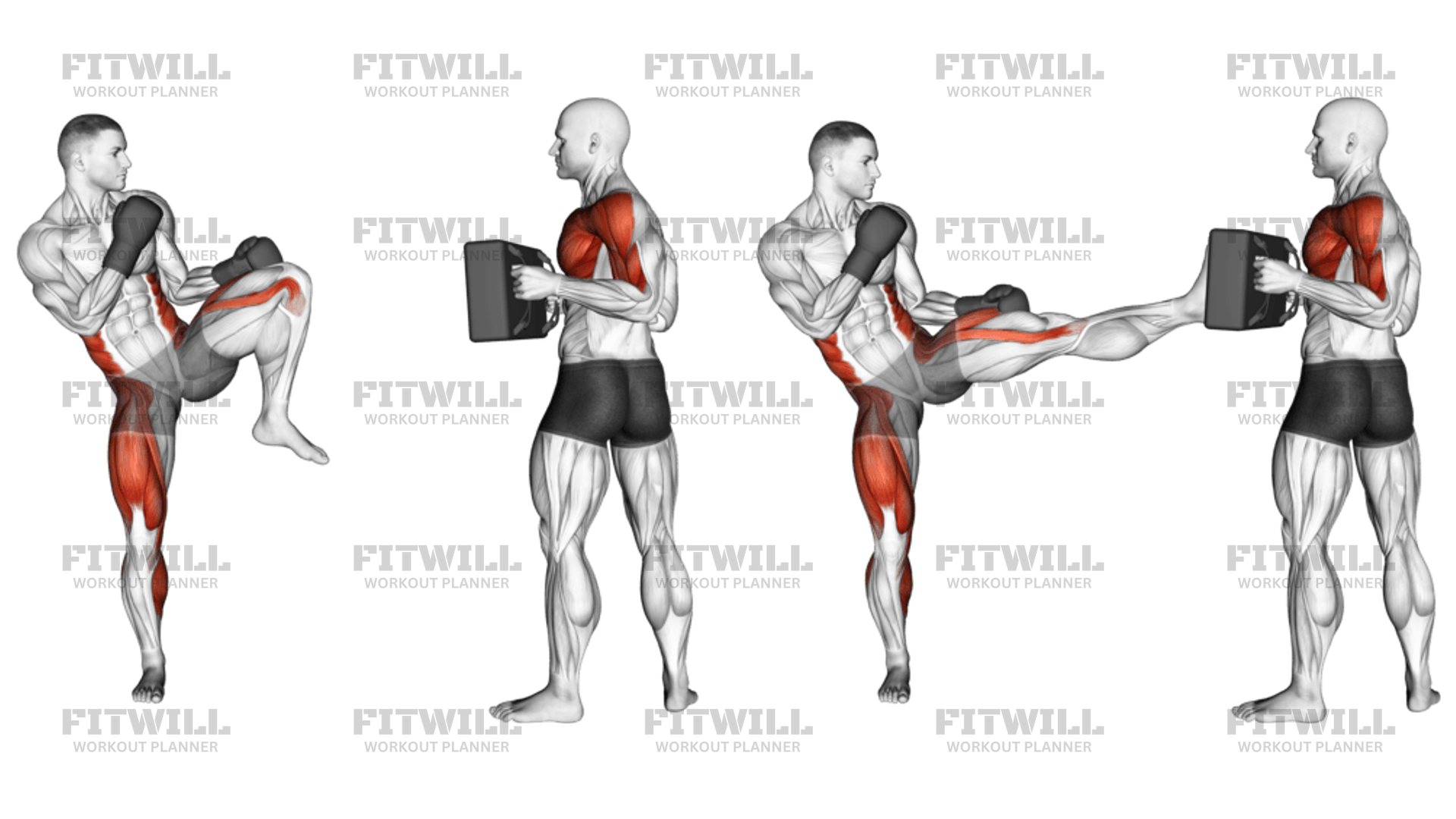 Front Kick Kickboksen (met Partner): Oefeningengids, Technieken ...