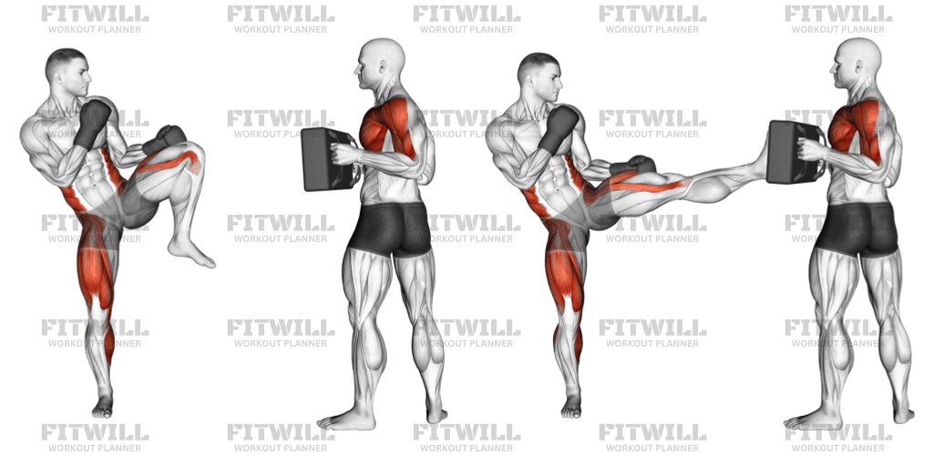 Patada Frontal De Kickboxing (con Compañero): Guía de Ejercicios ...