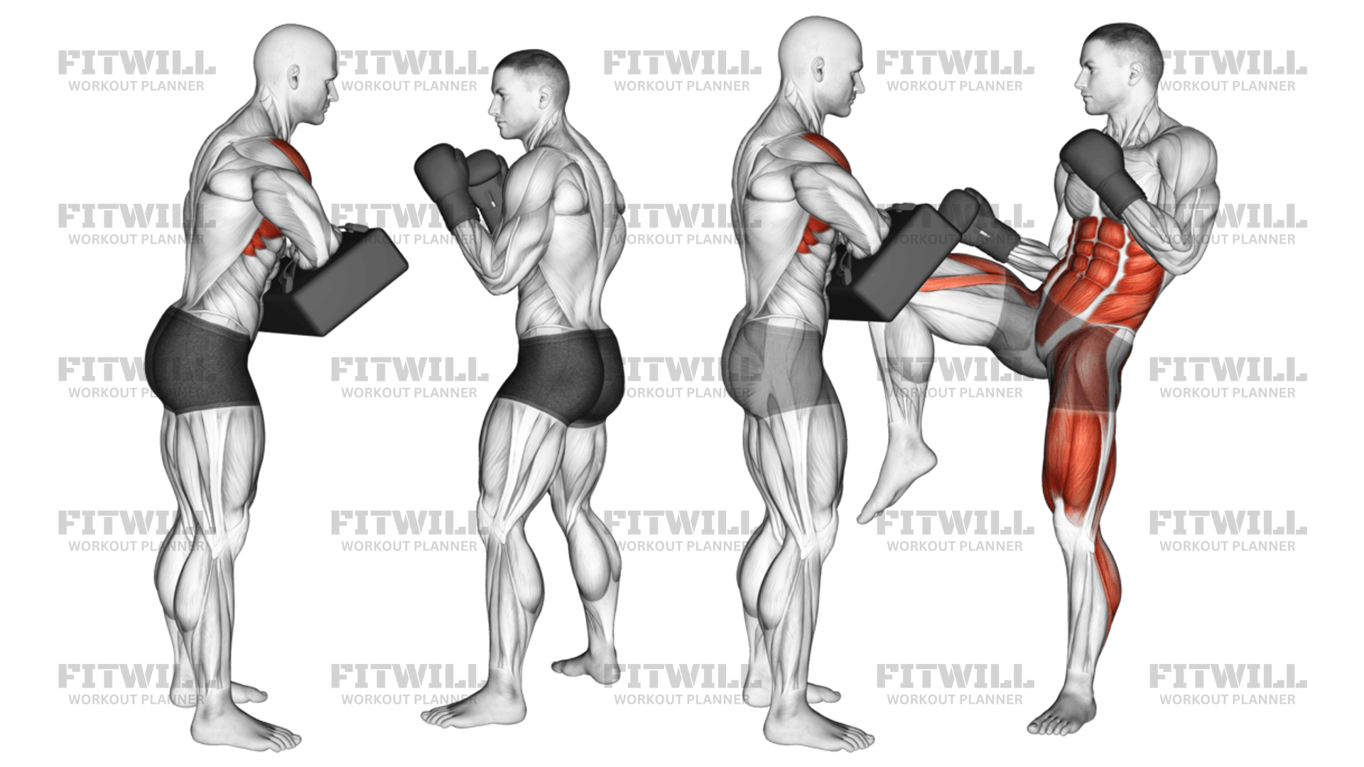 Front Knee Kick Kickboxing (with Partner): Exercise Guide, Techniques ...