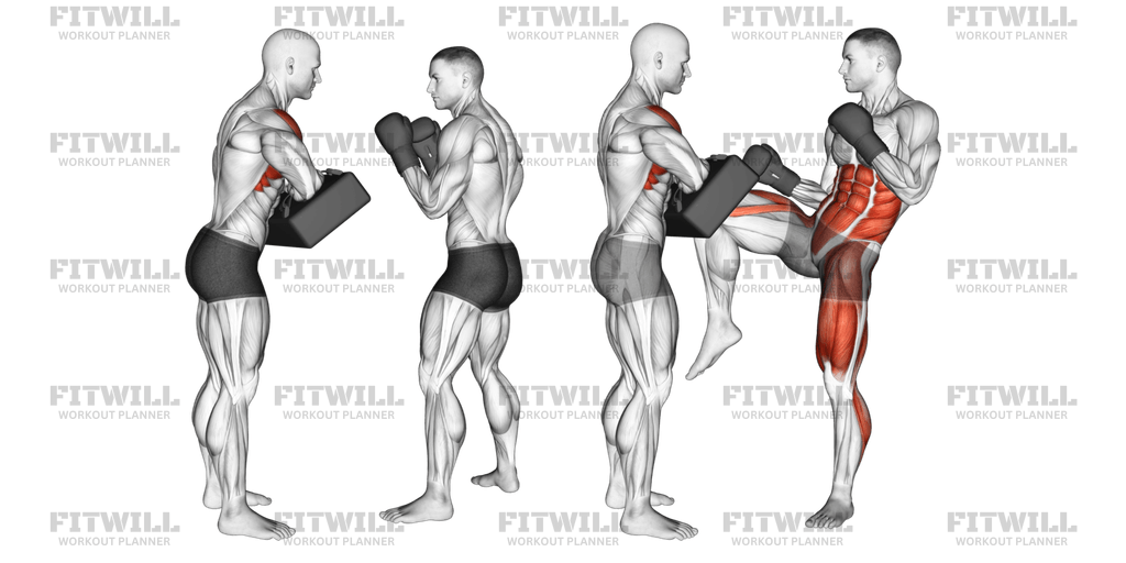 Front Knee Kick Kickboxing With Partner: Exercise Guide, Techniques ...