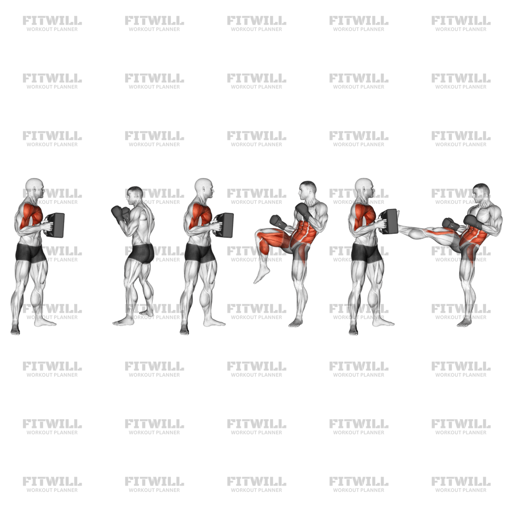 Front Snap Kick Kickboxing (with Partner): Exercise Guide, Techniques ...