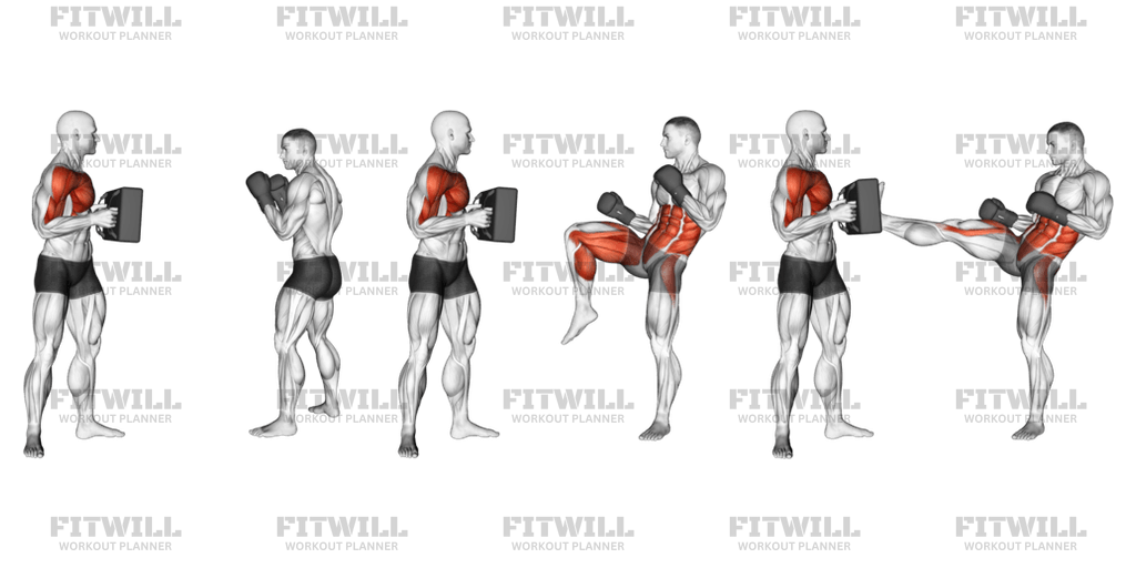 Front Snap Kick Kickboxing (with Partner): Exercise Guide, Techniques ...