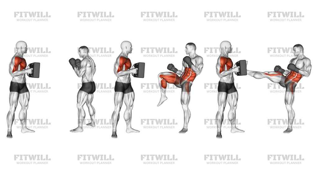 Front Snap Kick Kickboxing With Partner: Exercise Guide, Techniques ...