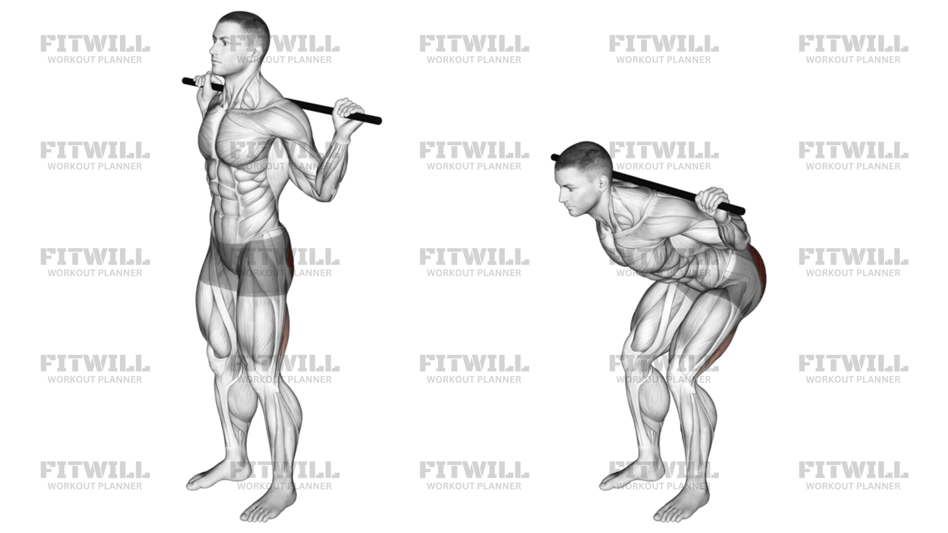 PVC Good Morning: Exercise Guide, Video, Techniques, Benefits, How to ...