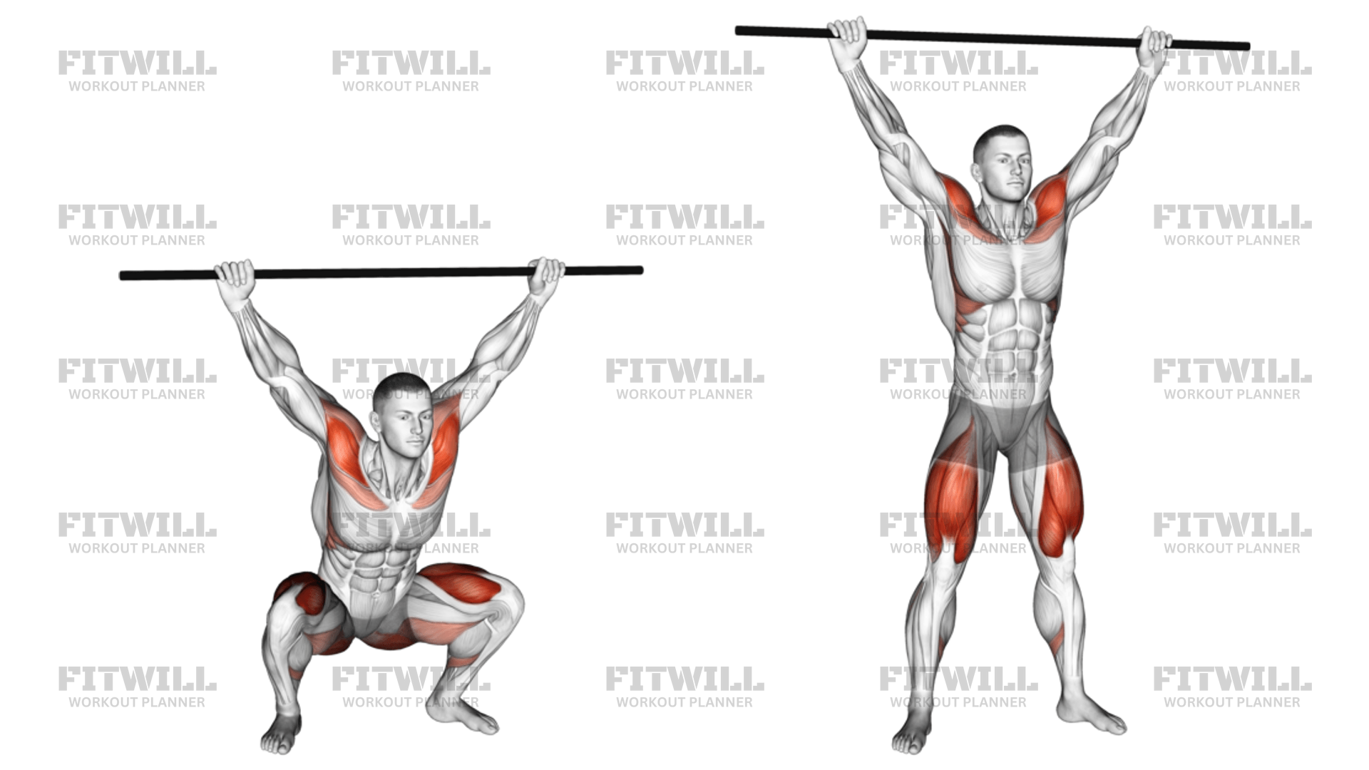 PVC Overhead Squat: Exercise Guide, Video, Techniques, Benefits, How to, Muscles Worked, Tips ...