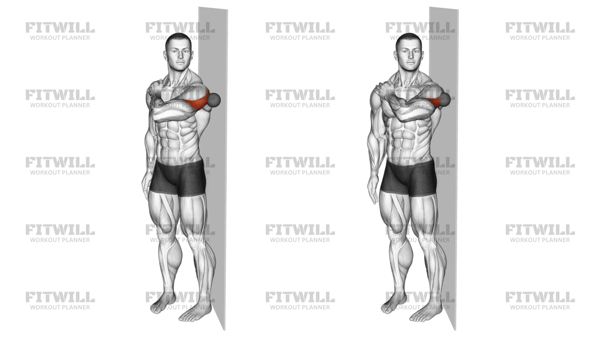 Roll Ball Deltoid Posterior: Exercise Guide, Video, Techniques ...