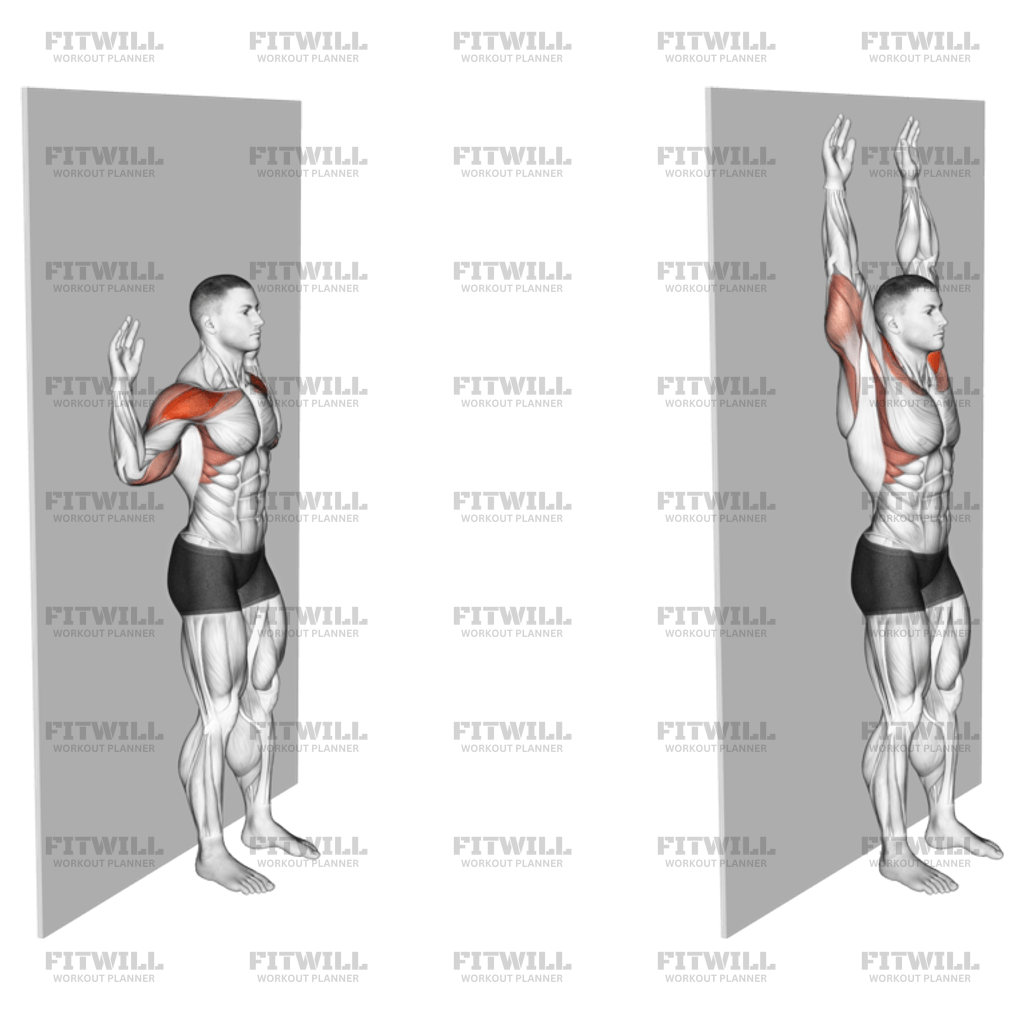 Bodyweight Standing Military Press Wall Supported: Exercise Guide ...
