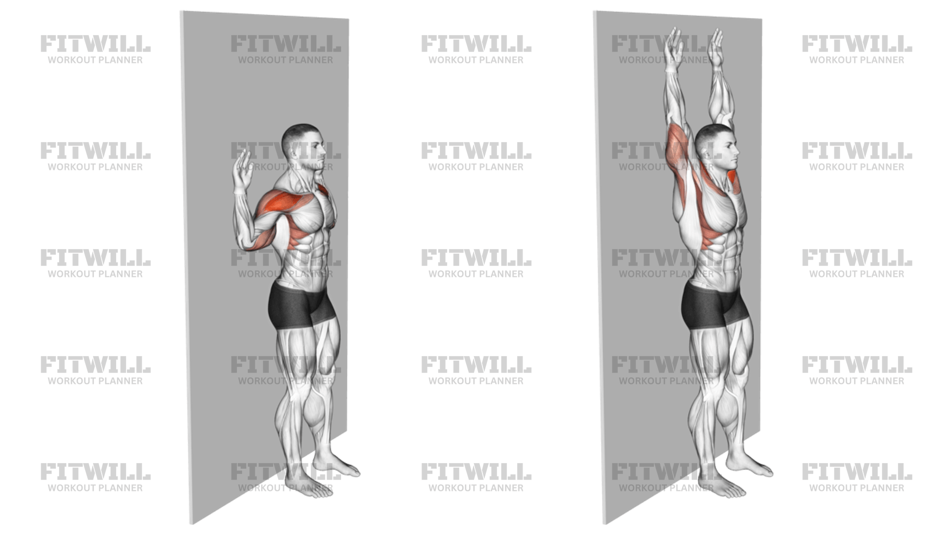 Bodyweight Standing Military Press Wall Supported: Exercise Guide ...