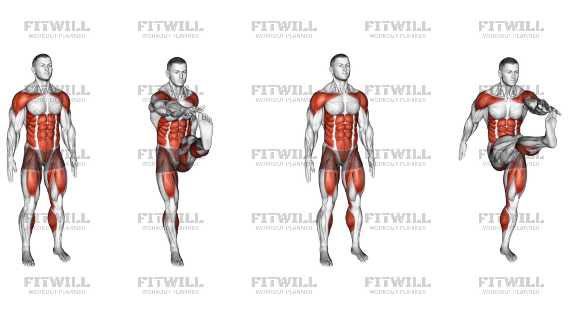 Leg Front Kick: Exercise Guide, Video, Techniques, Benefits, How to ...