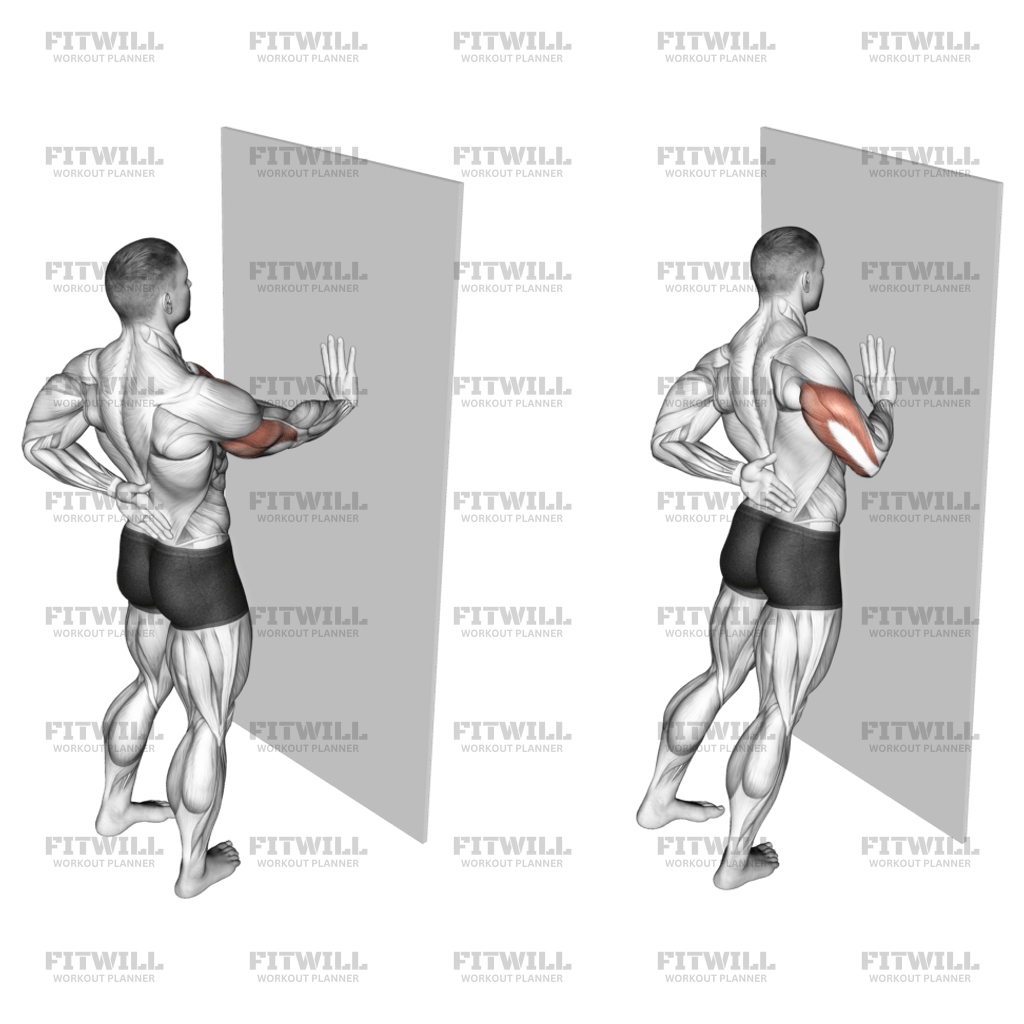 Single Arm Push Up Supported Wall: Exercise Guide, Video, Techniques ...