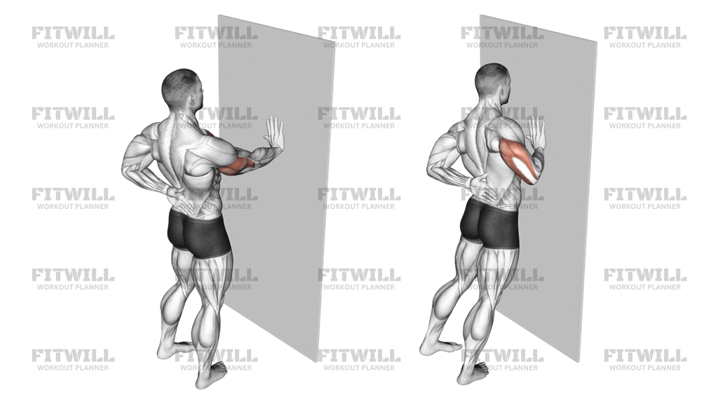 Single Arm Push Up Supported Wall: Exercise Guide, Video, Techniques ...