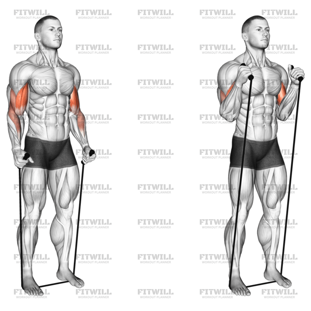 How to Get Stronger Arms? Try This Resistance Band Superset Workout for Biceps & Triceps ...