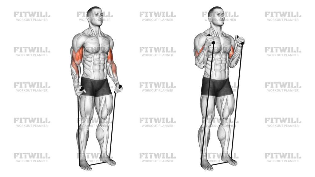 How to Get Stronger Arms? Try This Resistance Band Superset Workout for ...