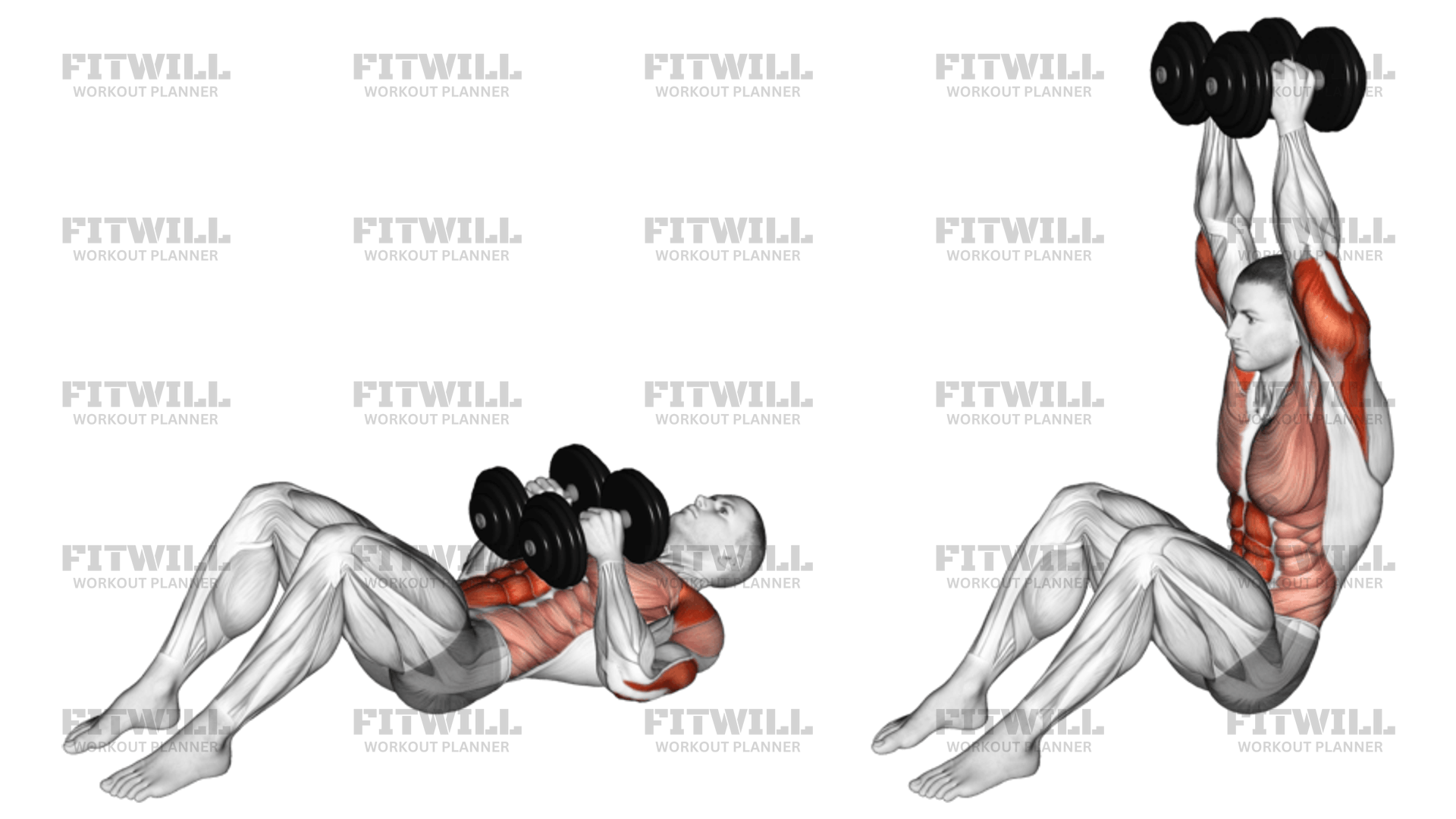 Dumbbell Close Grip Shoulder Press Sit-up: Exercise Guide, Techniques ...