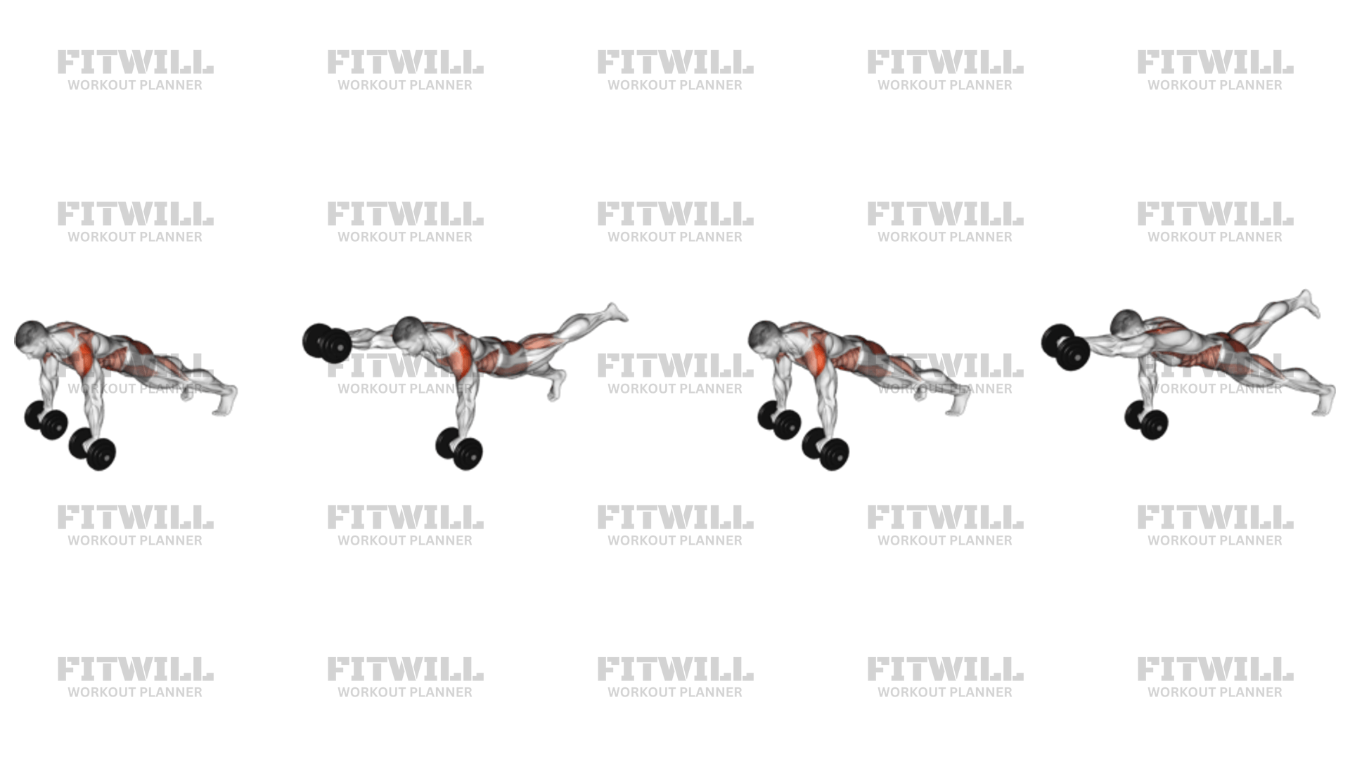 Dumbbell Front Plank Arm Leg Raise: Exercise Guide, Video, Techniques ...