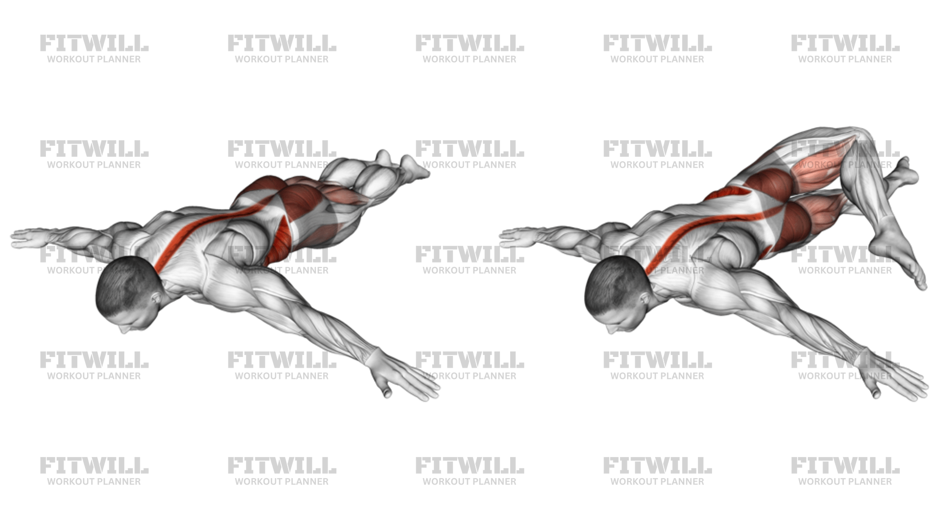 Scorpion Stretch: Exercise Guide, Video, Techniques, Benefits, How to ...