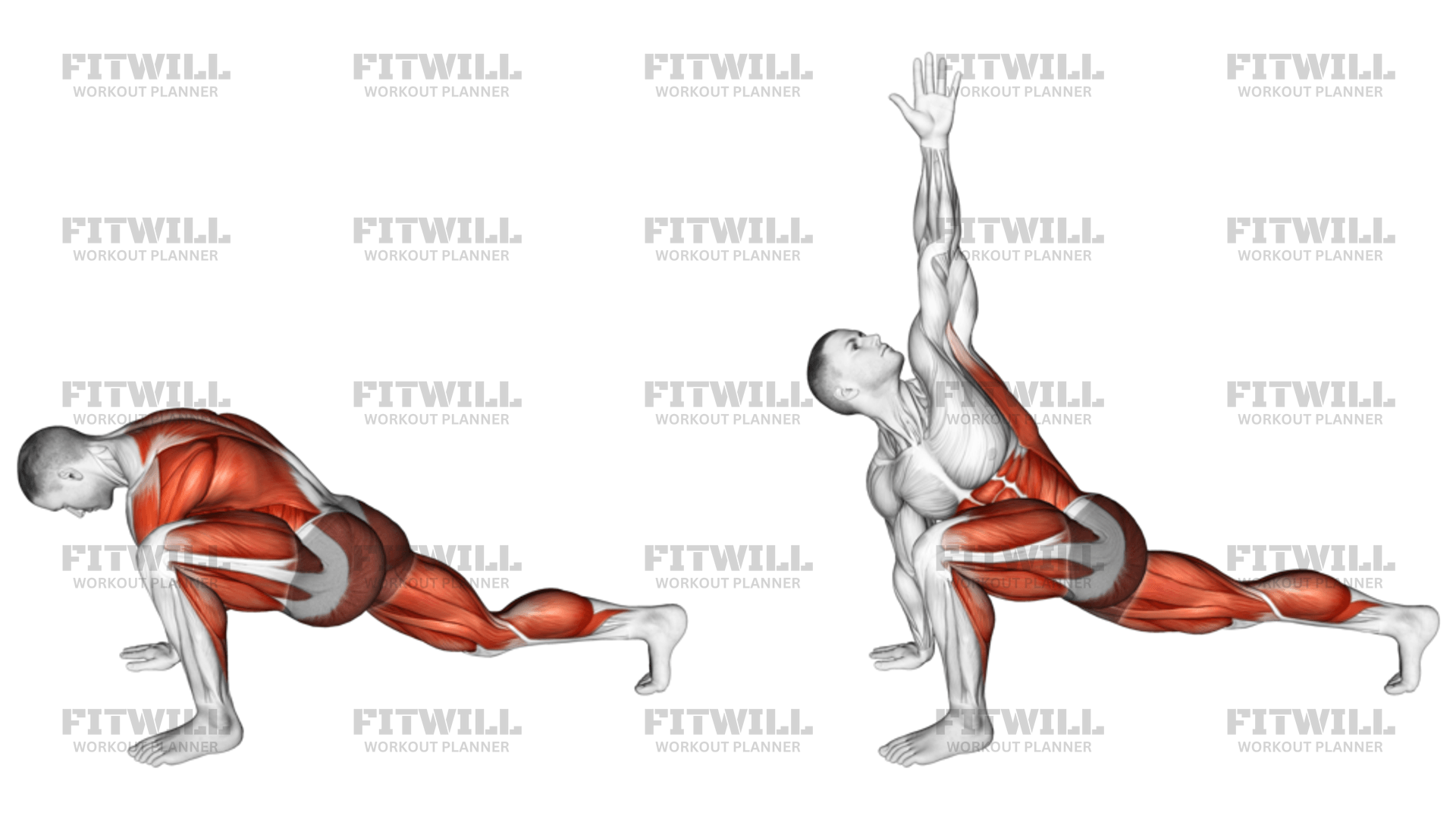 Worlds Greatest Stretch: Exercise Guide, Video, Techniques, Benefits ...