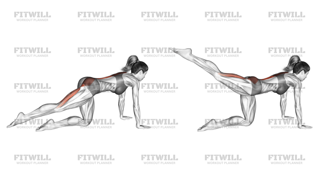 Kneeling Pulse: Exercise Guide, Video, Techniques, Benefits, How to ...