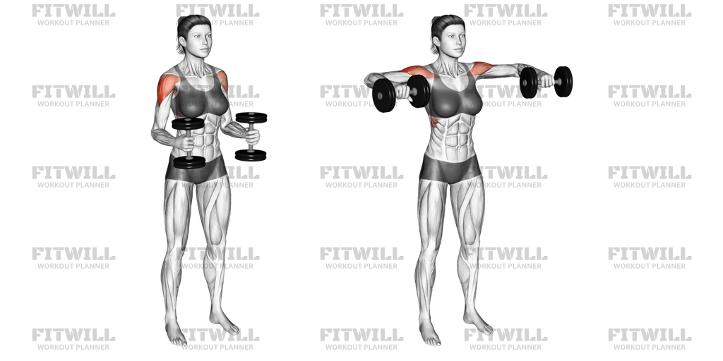 Élévation Latérale Avec Haltères Et Bras Pliés : Guide d'exercice ...