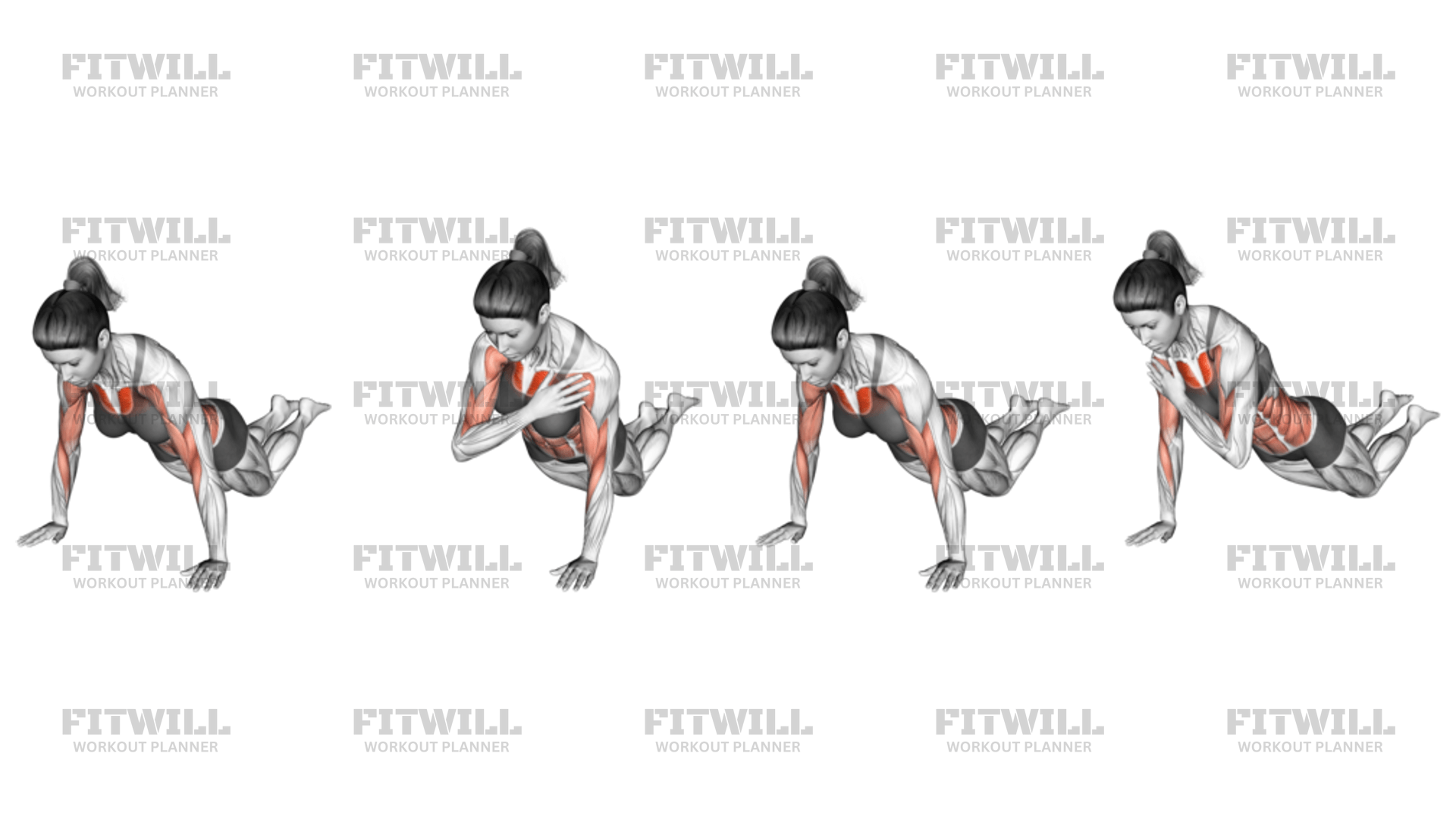 Kneeling Shoulder Tap: Exercise Guide, Video, Techniques, Benefits, How to, Muscles Worked, Tips ...