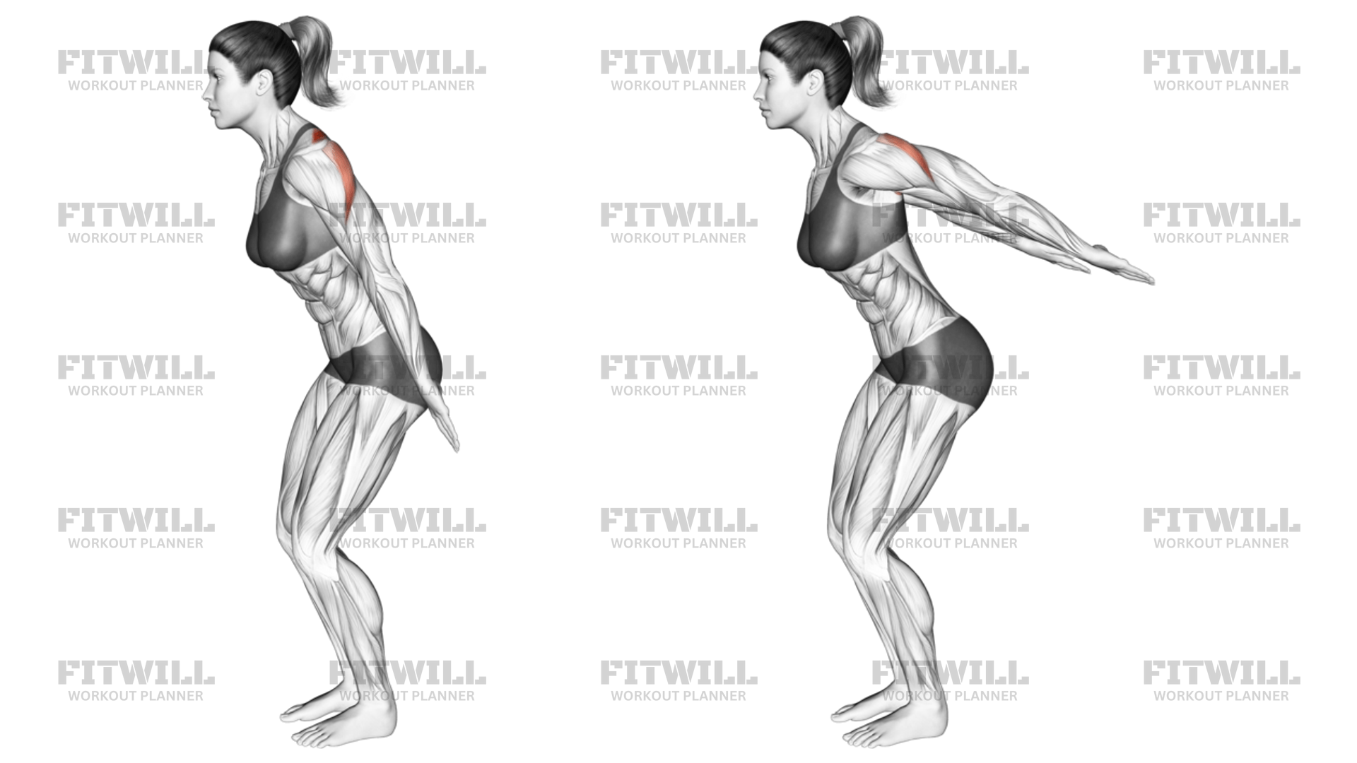 Backhand Raise: Exercise Guide, Video, Techniques, Benefits, How to ...