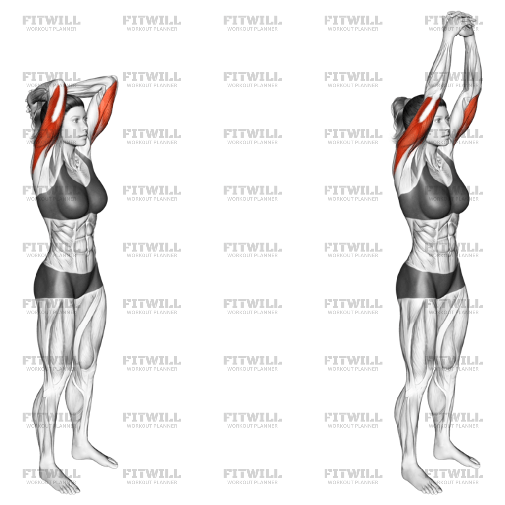 Bodyweight Overhead Triceps Extension: Exercise Guide, Video ...