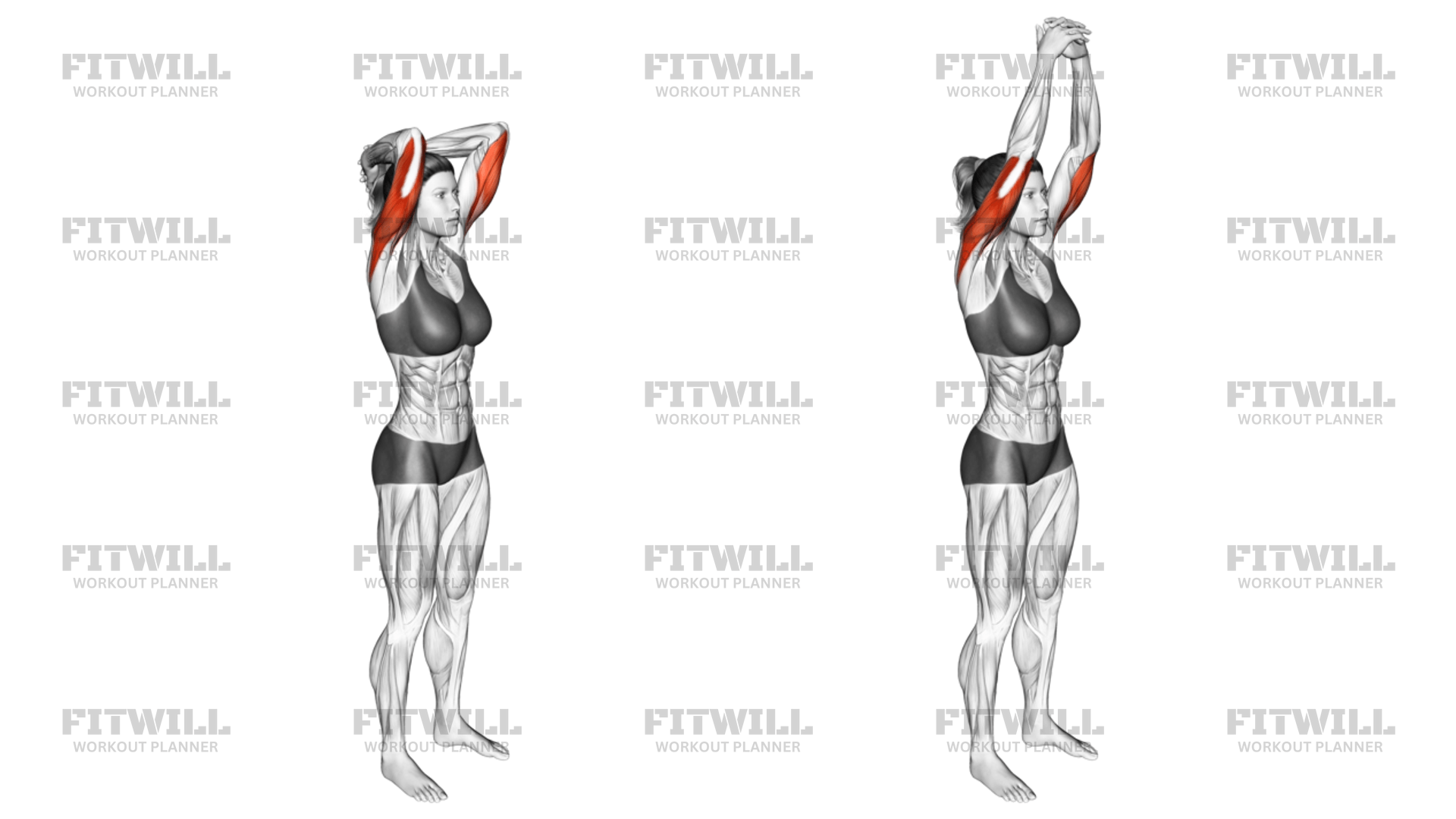 Extensión De Tríceps Por Encima De La Cabeza Con Peso Corporal: Guía de Ejercicios, Video ...