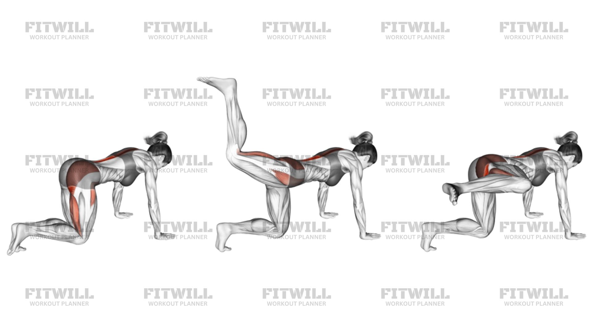 Patada Lateral Con Rodilla Flexionada Hacia Atrás: Guía de Ejercicios ...