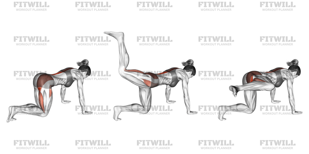 Bent Knee Back To Side Kick: Exercise Guide, Video, Techniques ...