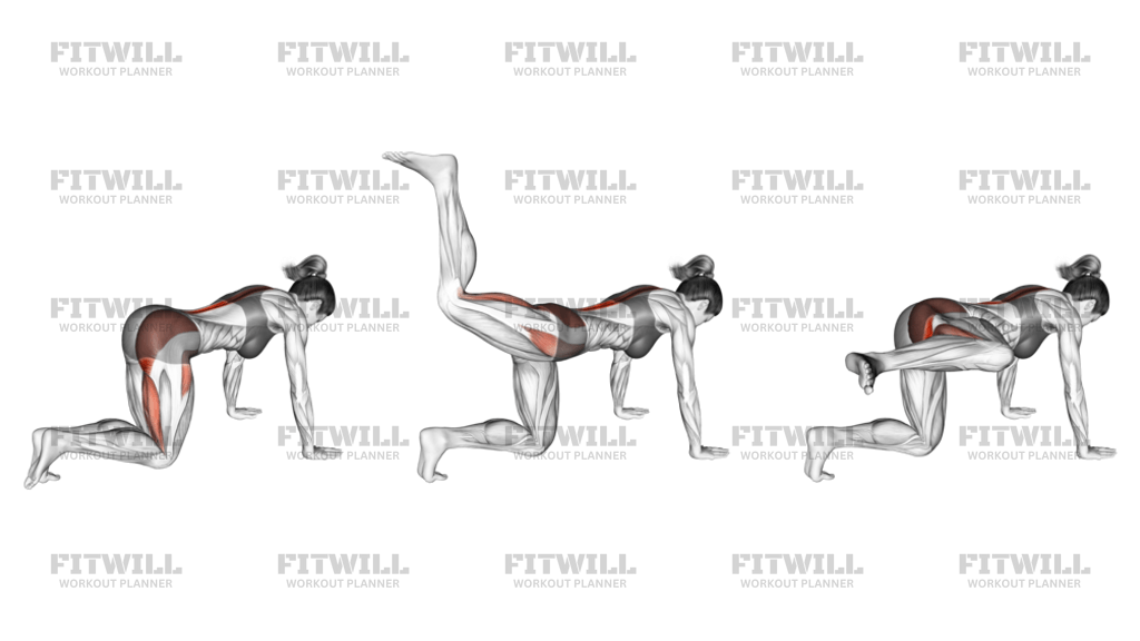 Bent Knee Back To Side Kick: Exercise Guide, Video, Techniques ...