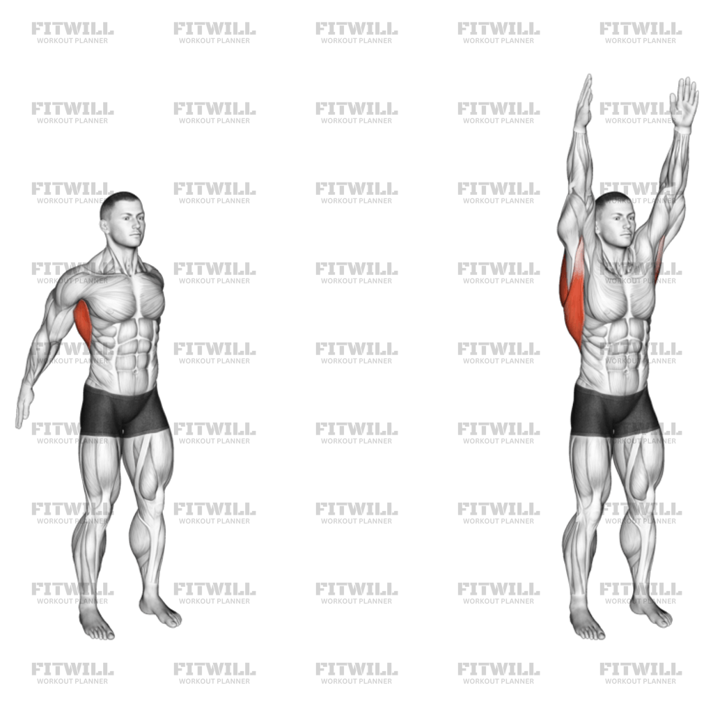 Dynamic Back Stretch: Exercise Guide, Video, Techniques, Benefits, How ...