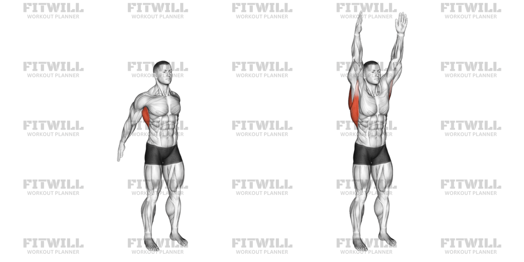 Dynamic Back Stretch: Exercise Guide, Video, Techniques, Benefits, How ...