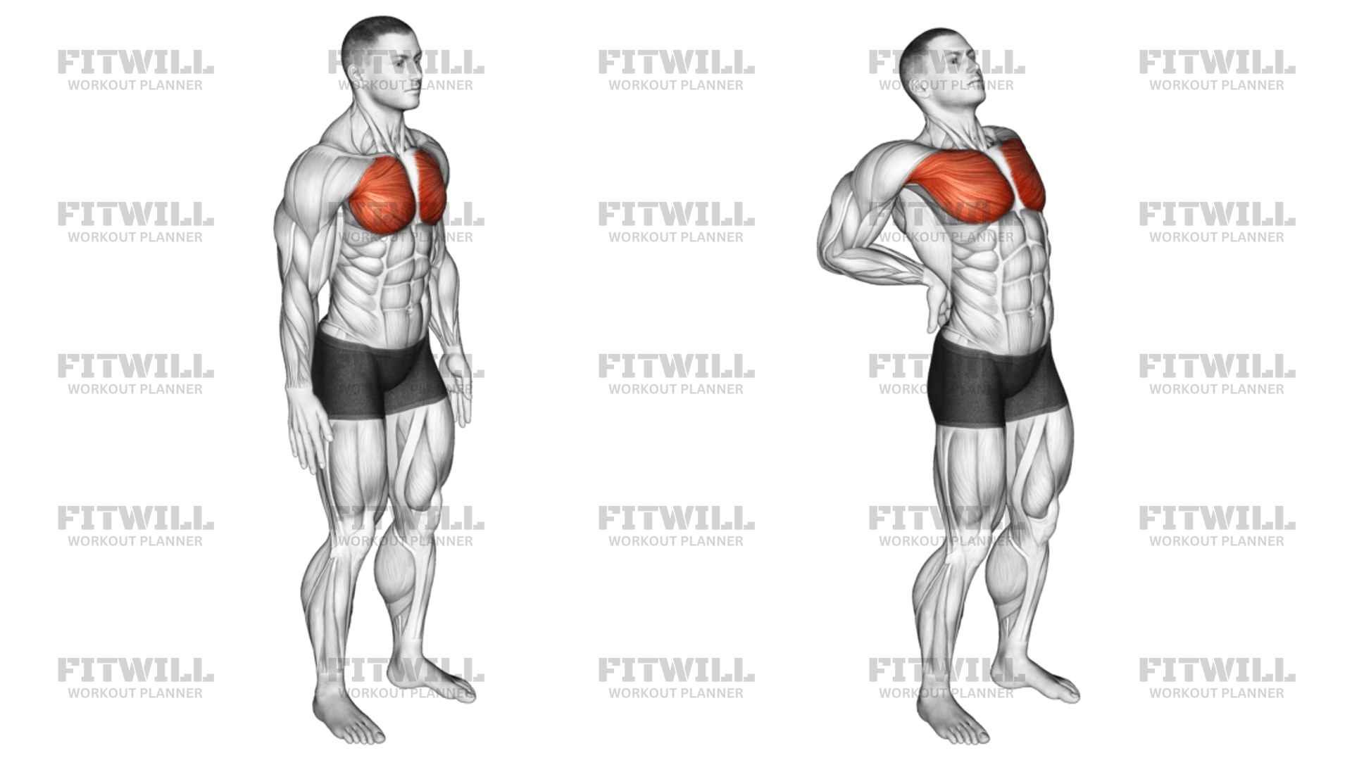 Elbows Back Stretch: Exercise Guide, Video, Techniques, Benefits, How ...