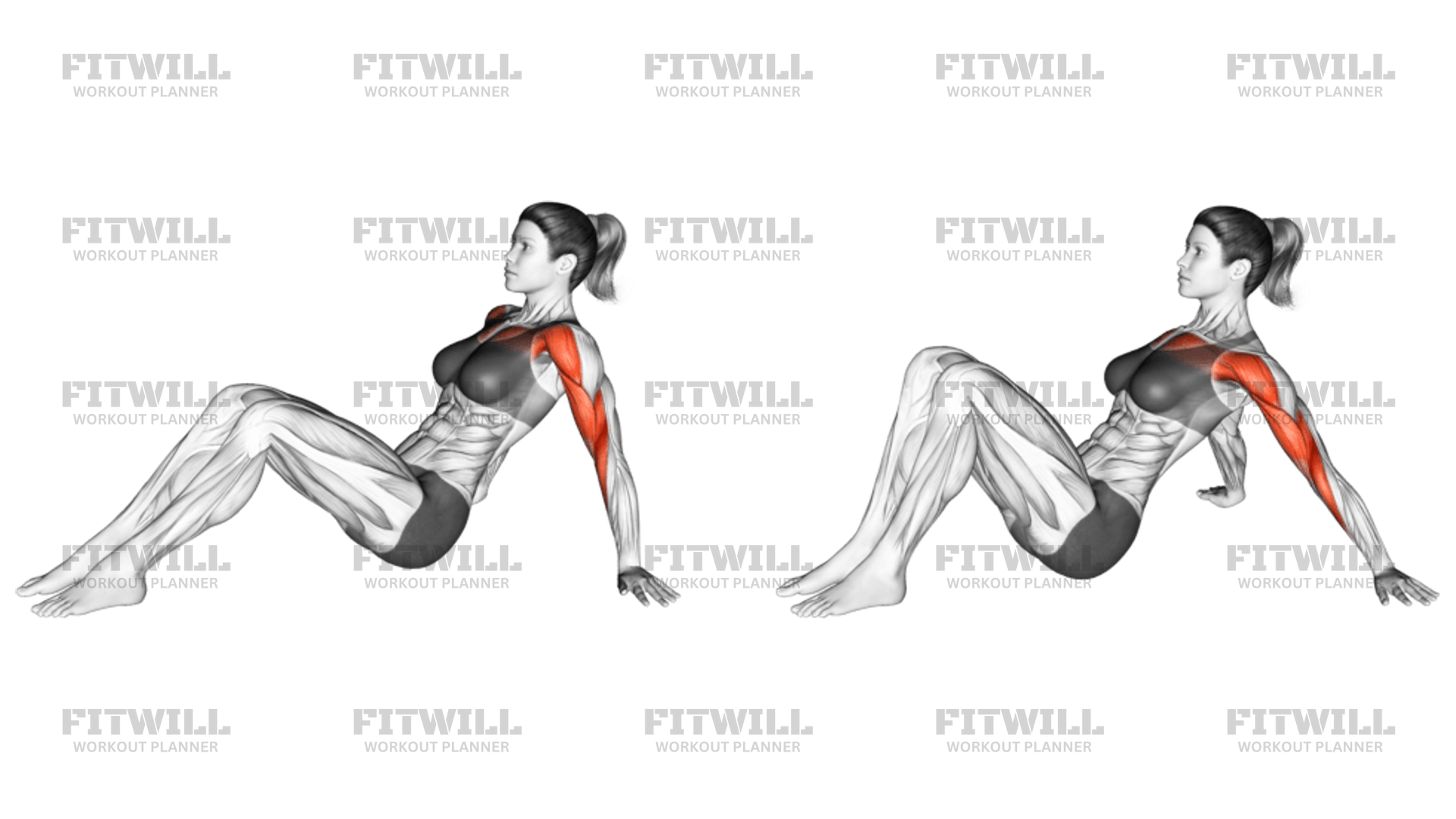 Seated Shoulder Flexor Depresor Retractor Stretch Bent Knee: Exercise ...