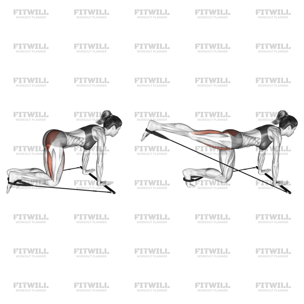 Bar Band Kneeling Single Leg Kick: Exercise Guide, Techniques, Benefits ...