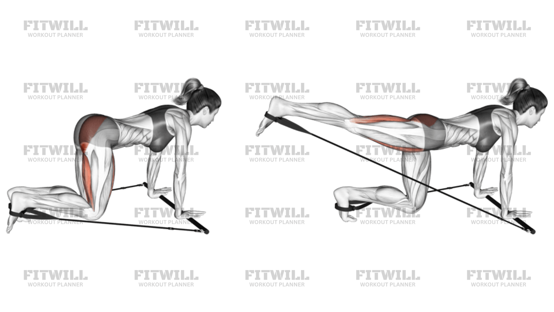 Bar Band Kneeling Single Leg Kick: Exercise Guide, Techniques, Benefits ...