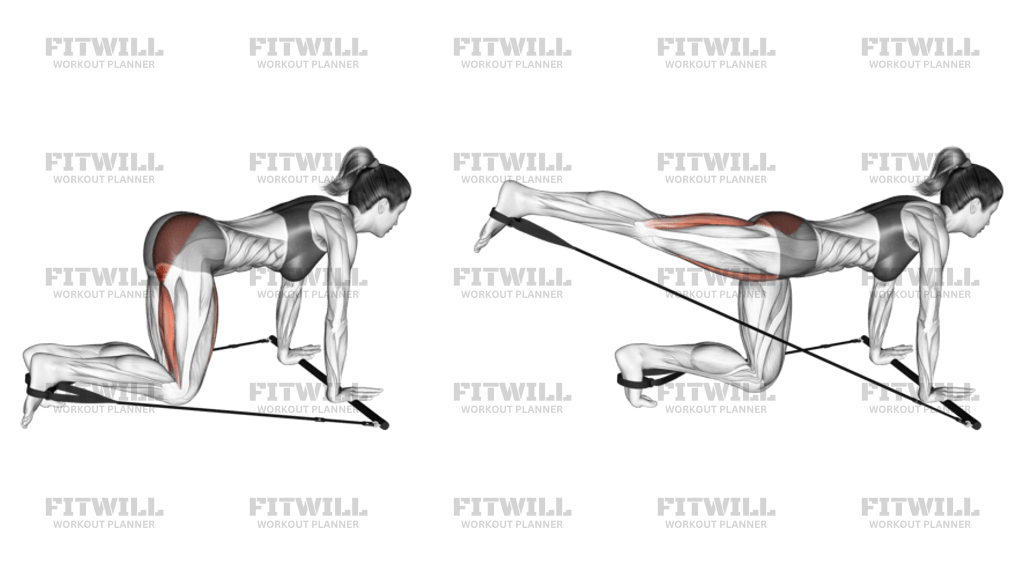 Bar Band Kneeling Single Leg Kick: Exercise Guide, Techniques, Benefits ...