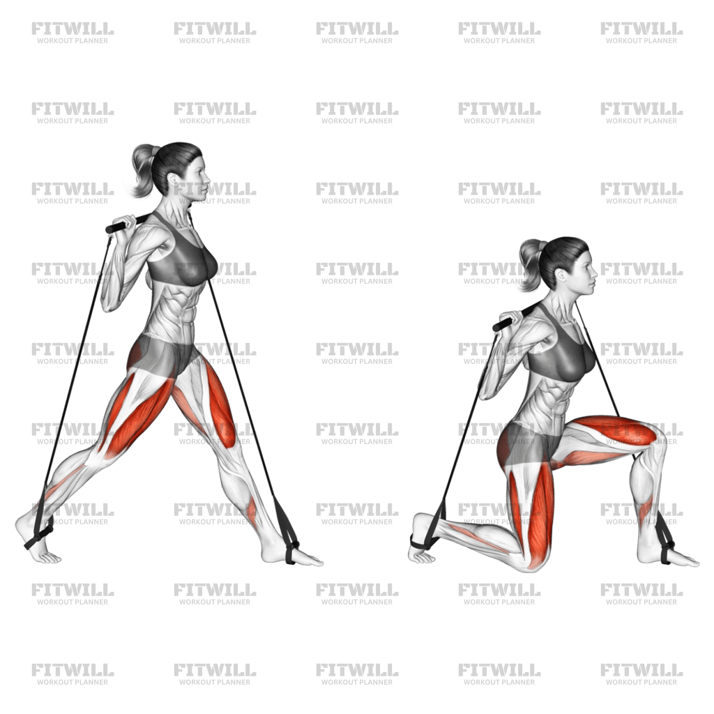 Bar Band Split Squat: Exercise Guide, Techniques, Benefits, How to, Muscles Worked, Tips ...