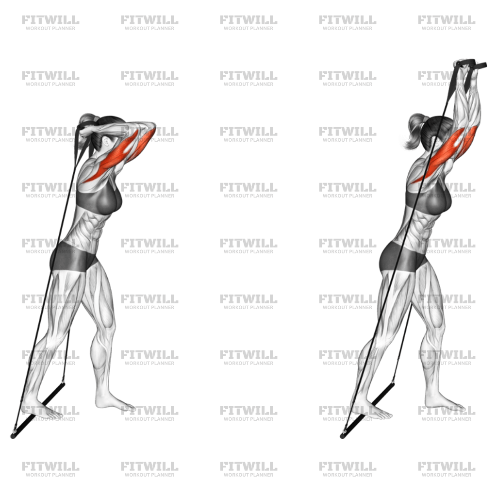 Bar Band Standing Triceps Extension: Exercise Guide, Techniques ...