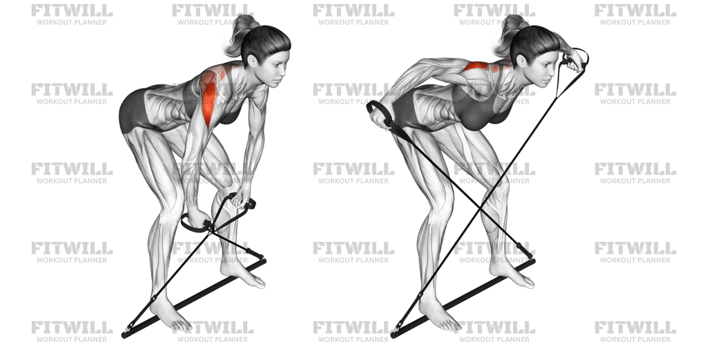 Bar Band Bent Over Rear Delt Fly: Exercise Guide, Techniques, Benefits ...