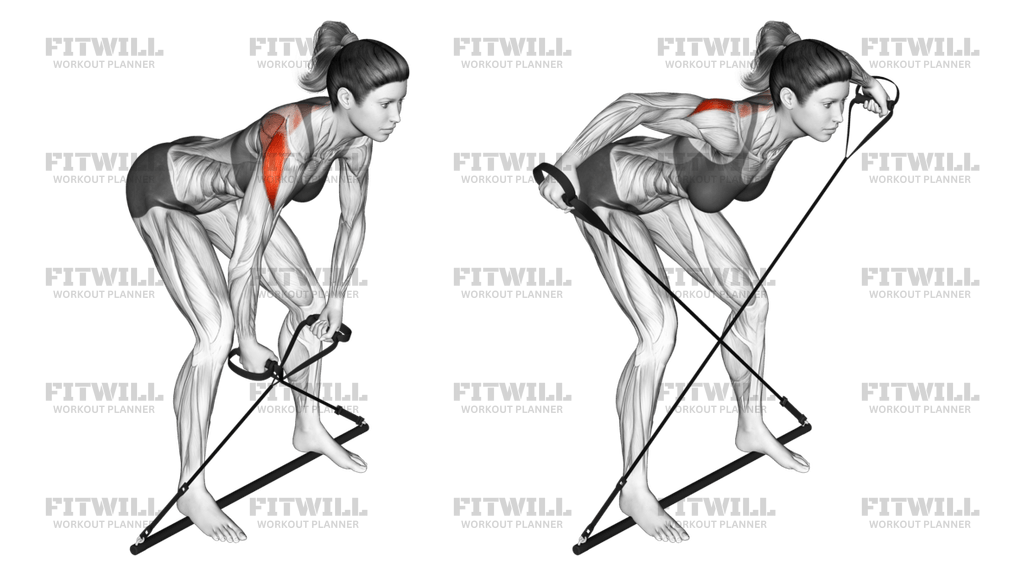 Voador Posterior Inclinando-se Com Faixa De Resistência: Guia de ...