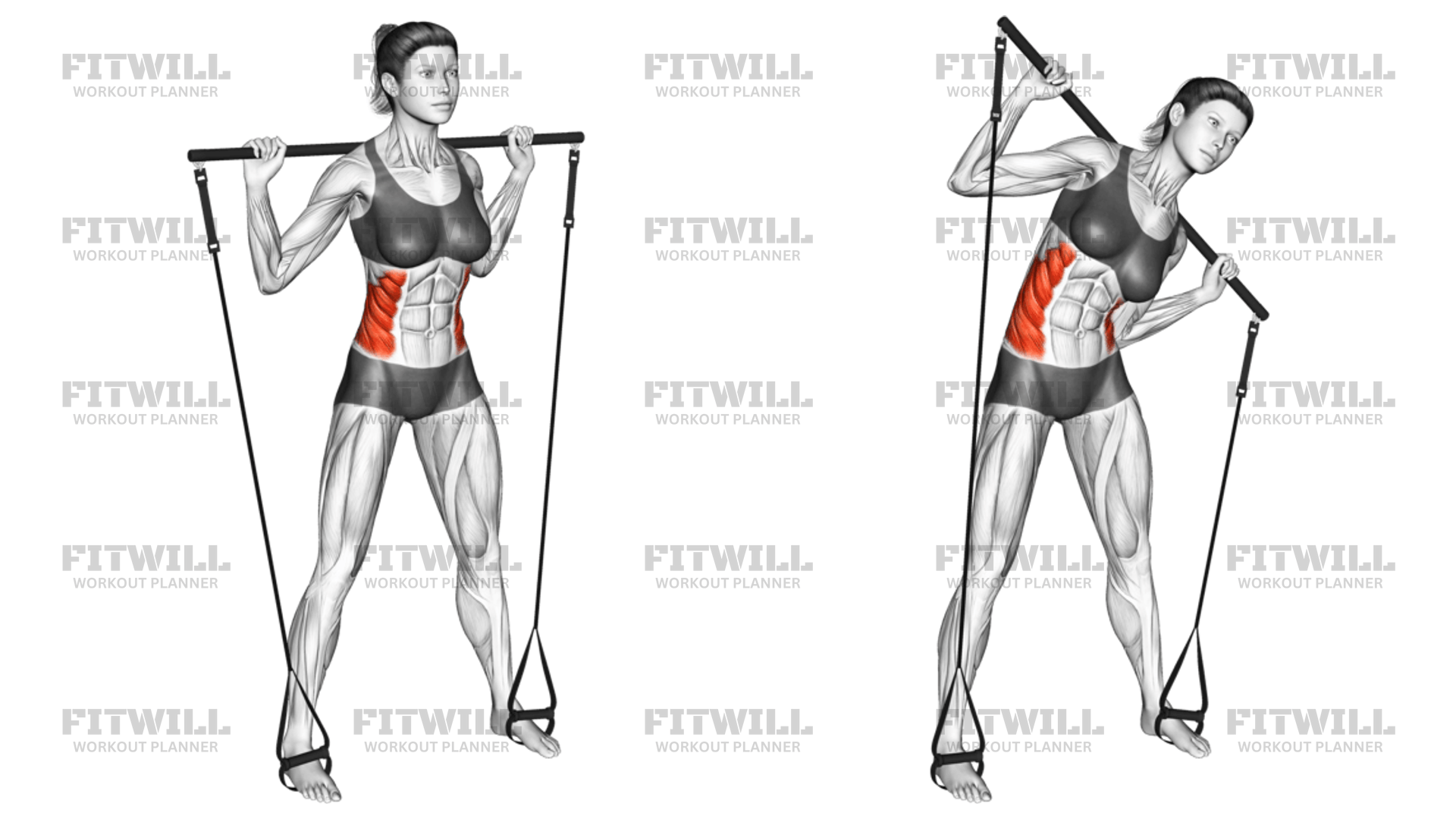 Bar Band Standing Side Bend: Exercise Guide, Techniques, Benefits, How to, Muscles Worked, Tips ...