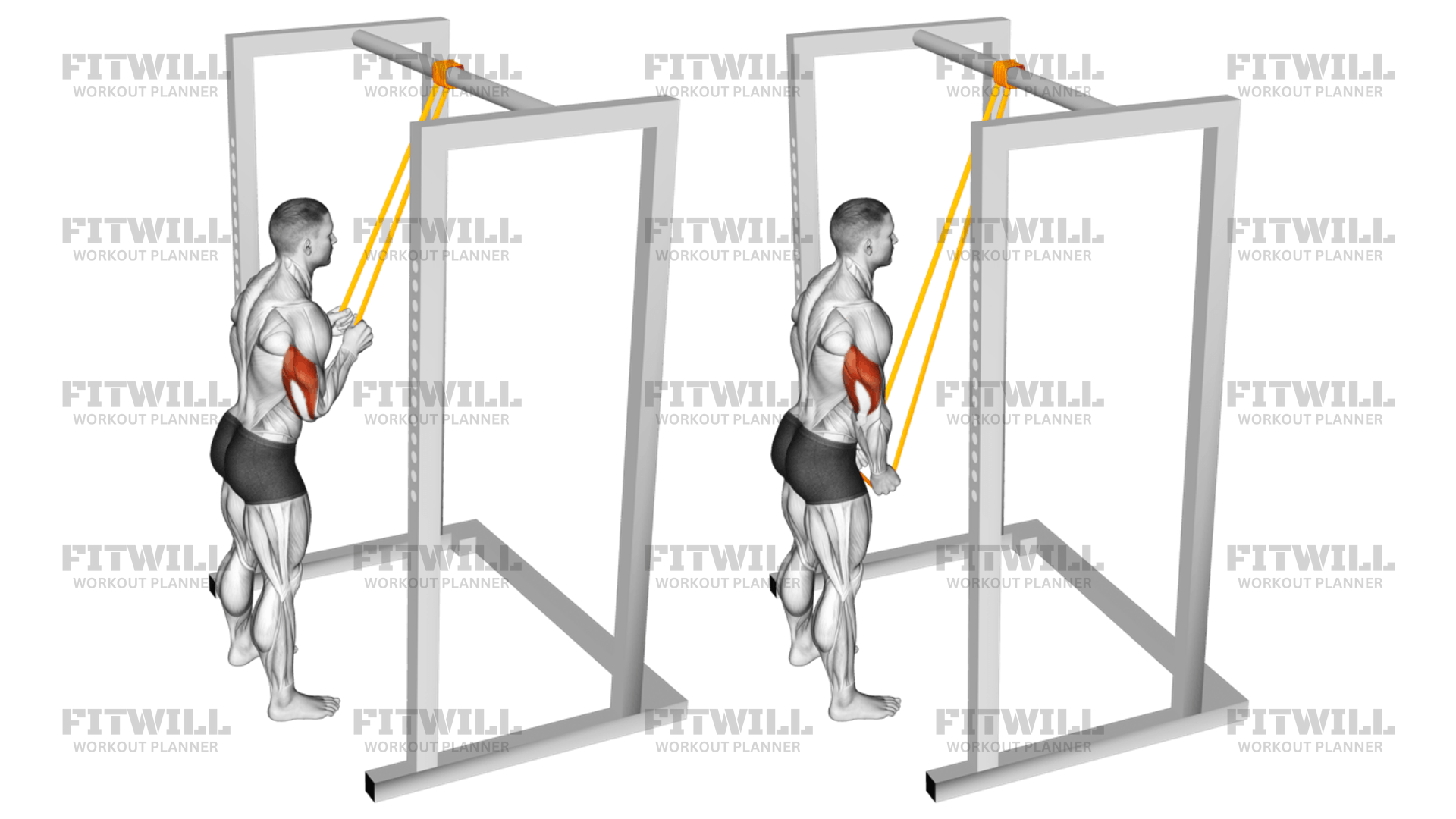 Extensión De Tríceps Con Banda De Resistencia: Guía de Ejercicios ...