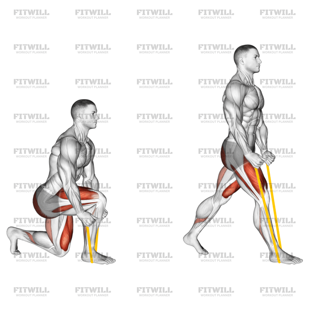 Resistance Band Split Squat: Exercise Guide, Techniques, Benefits, How to, Muscles Worked, Tips ...