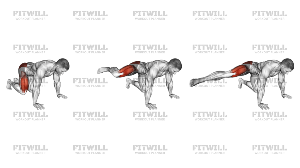 Kneeling Side Leg to Kick: Guide, Techniques, Benefits, How to, Muscles ...