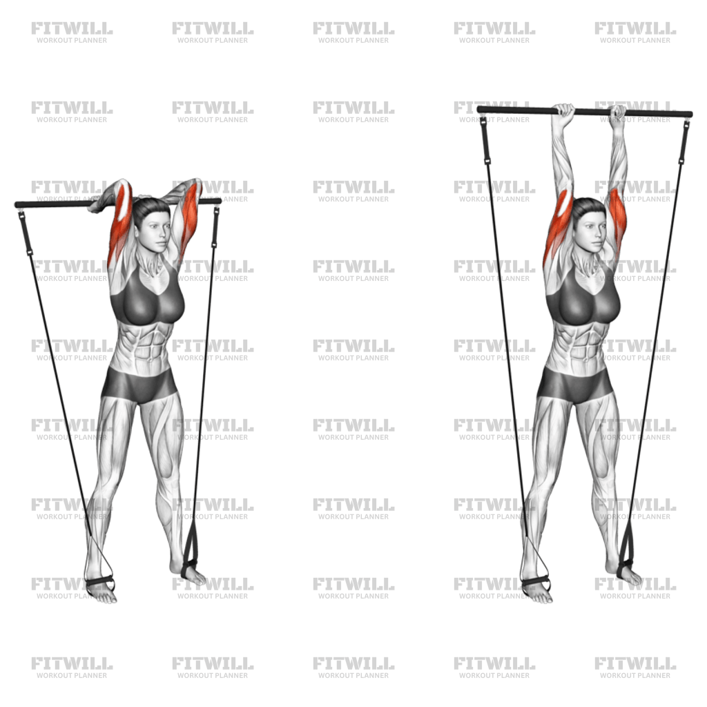 Bar Band Overhead Triceps Extension: Exercise Guide, Techniques ...